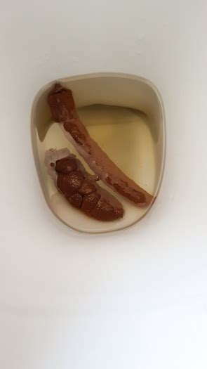 Long Poo Image 3618427 Thisvid Tube Long Poo Image 3618427 Thisvid Tube
