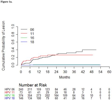 Genital HPV Infection Progression To External Genital Lesions The HIM Study PMC