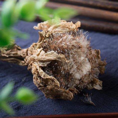 Buy Herb Tea 5pcs Tian Shan Xue Lian Hua 天山雪蓮花 Herba Saussureae Find