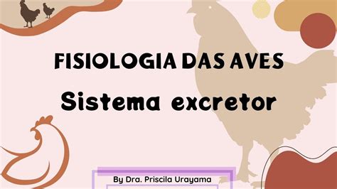 Sistema Excretor Das Aves ácido úrico Fisiologia Veterinária Youtube