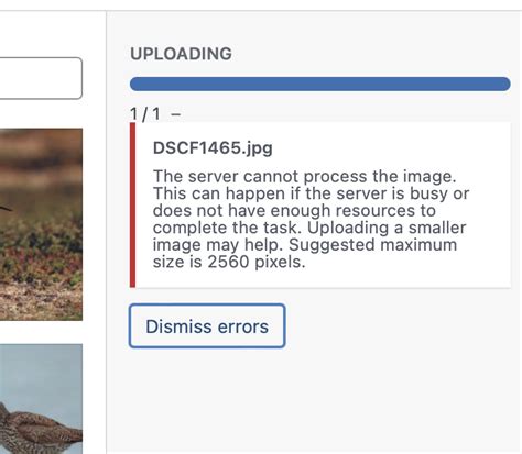 how to fix server cannot process the image error in wordpress webful