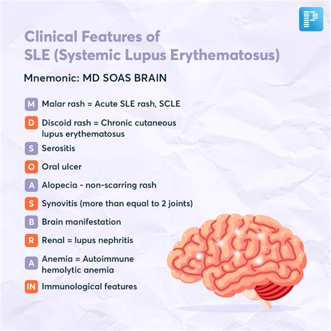 What Is Sle Systemic Lupus Prepladder Neet Ss