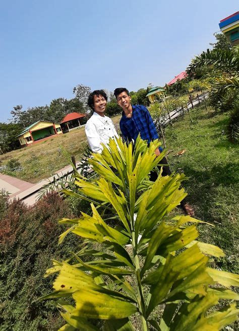 Manipur Guide Traditional Outfits India Traditional Dress
