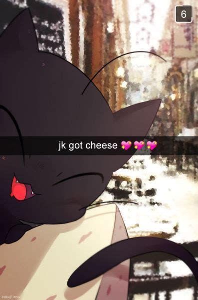 Plag And Cheese Snapchat Part 3 Miraculous Ladybug Anime Miraculous