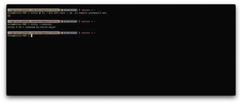 Kitty Windows Missing Environment Variables On V0301 · Issue 6749 · Kovidgoyalkitty · Github