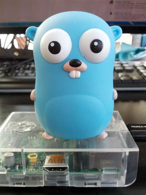 Where Can I Buy This Gopher Squeeze Toy R Golang