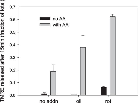 Oligomycin Oli And Rotenone Rot Potentiate Aa Induced Tmre Loss Aa Download Scientific