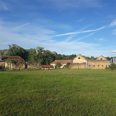 Raphaëlle Guyot — Mfw Wine Co