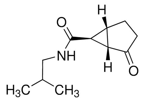 Molecular Structure Of N Hexane Collectisale Brunofugaadvbr