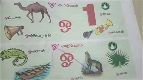 ஒ ஓ ஔ ஃ வரிசை சொற்கள் Youtube