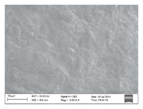 Implant Surface Morphology Note Sem Images Were Acquired At High