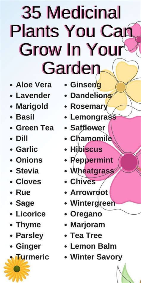 35 Easy To Grow Medicinal Plants To Make Your Own Herbal Remedies