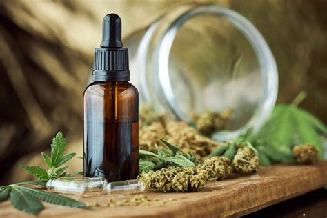 Cannabis Tinctures 101 A Complete Guide To Tinctures Sensi Seeds