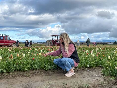Skagit Valley Tulip Festival Tulip Town Experience Pass Review