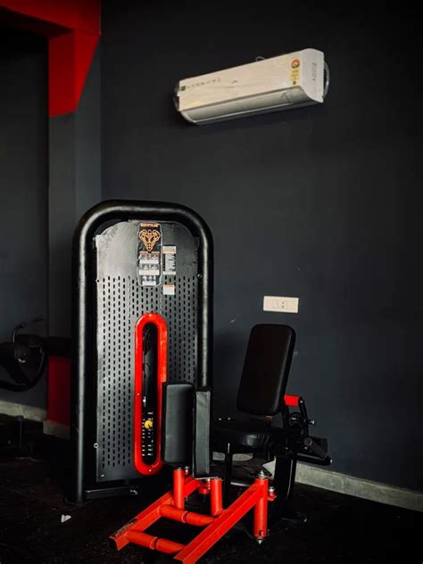 Abductor Adductor At ₹ 65000piece Abductor Machine In Jalandhar Id
