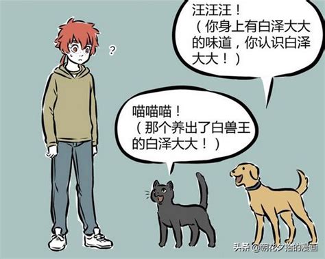 非人哉：白澤成香餑餑，白獸王走上狗生巔峰 每日頭條