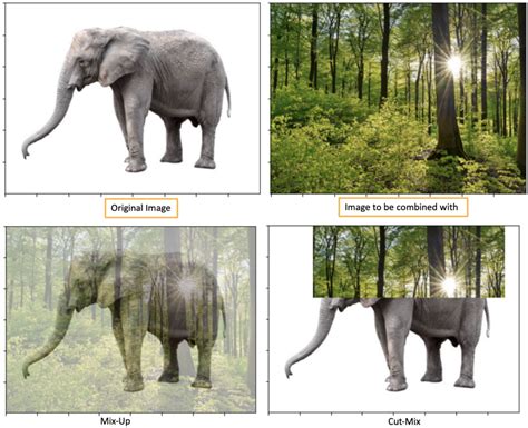 simple image data augmentation technics to mitigate overfitting in
