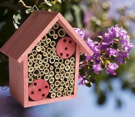 Cestari Kitchen Announces Mason Bee House