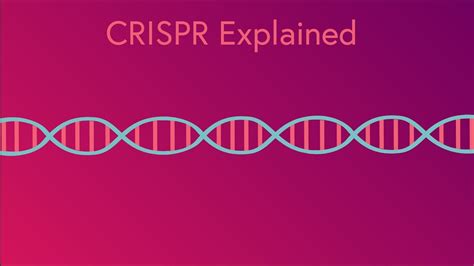 Crispr Explained The Future Of Genetic Engineering Youtube