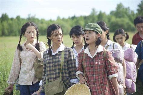 上山下鄉運動中女知青救下母狼狼群幫忙看護莊稼抓小偷立功 每日頭條