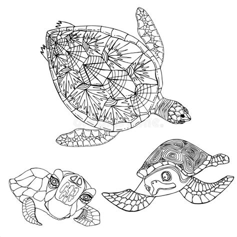 Hawaiian Turtle Coloring Pages