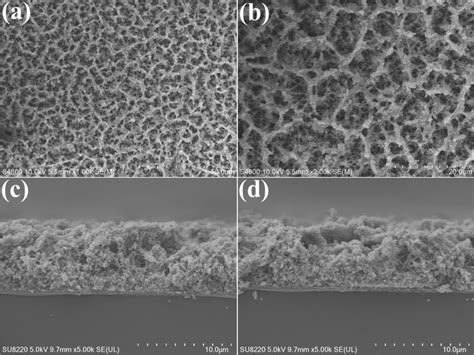 The Sem Top View Images A B And Cross Sectional Images C D Of