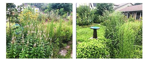 Ten Tips For Home Wildscape Natures Way Resources