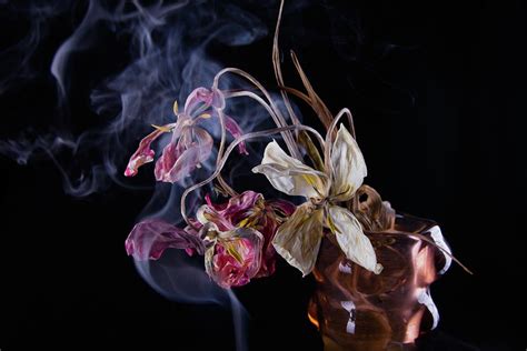 Withered Flowers In Smoke Photograph By Katarina Spiralo Fine Art America