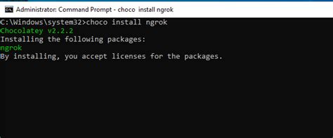 What Is Ngrok And How To Use It