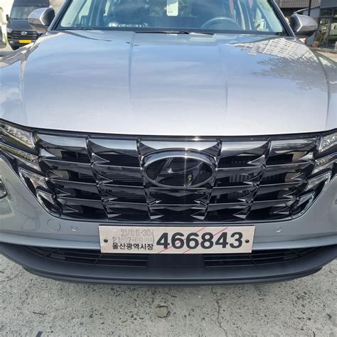 Dhcarbox 투싼nx4 신차검수 신차썬팅 레이노s9썬팅 수작업썬팅 유리탈거썬팅