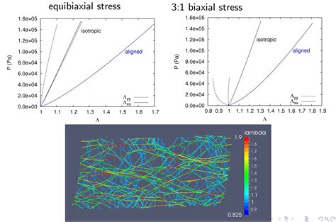 Frontiers Using Simulations With Realistic Fibrous Network Geometry To Determine The