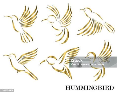 Ligne Art Vector Illustration Six Ensemble Dimages De Colibris Dorés