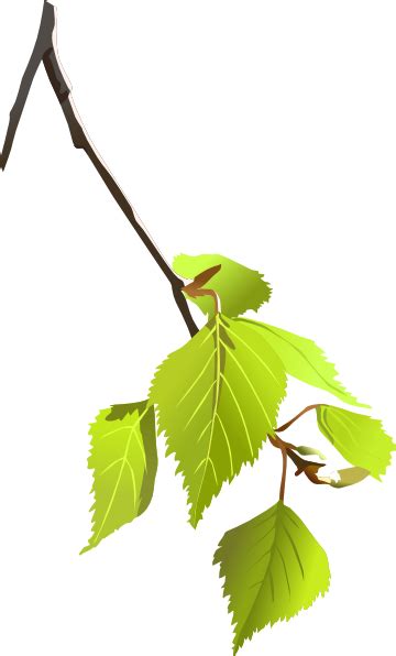 Tree Branch Clip Art At Clker Com Vector Clip Art Online Royalty Free Public Domain