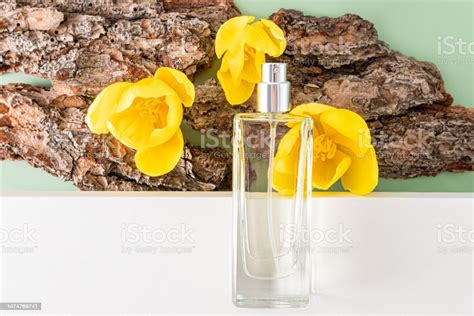 아름다운 향수 한 병은 흰색 질감의 연단과 봄 꽃이있는 갈색 나무 껍질의 일부에 놓여 있습니다 아로마 프리젠 테이션 0명에 대한