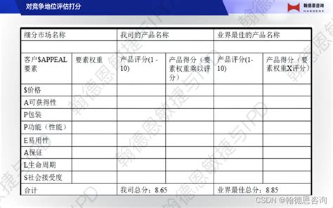 Ipd Mm流程之战略定位分析工具spanspan分析 Csdn博客