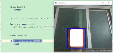 Gocv基于viola Jones算法人脸检测go Opencv Csdn博客