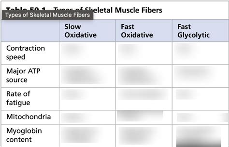 Types Of Skeletal Muscles Diagram Quizlet