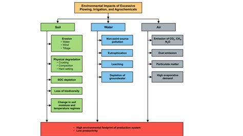 Sustainable Intensification Of Biodiversity In Agroecosystem Through Conservation Agriculture Ppt