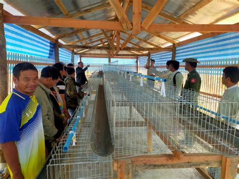 မက်မန်းမြို့နယ်တွင် မွေးမြူရေးလုပ်ငန်းများဖွံ့ဖြိုးတိုးတက်ရေး စံပြကြက်မ