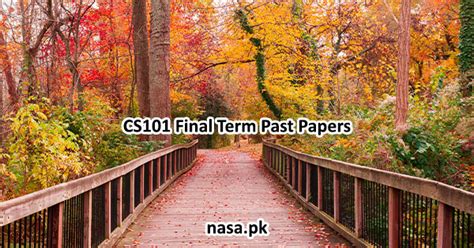 Cs Final Term Past Papers
