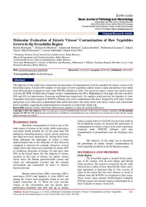 Pdf Molecular Evaluation Of Enteric Viruses Contamination Of Raw