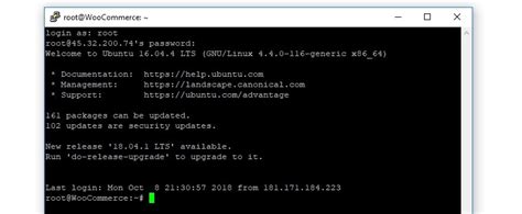 Easy Steps To Get Your New VPS Up And Running Via PuTTY
