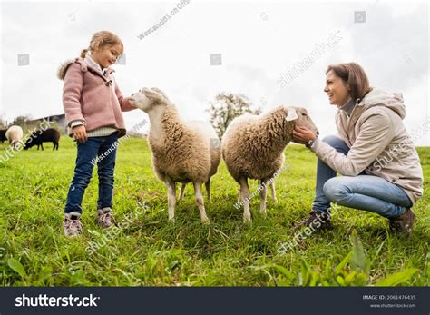 Sheep Farmer