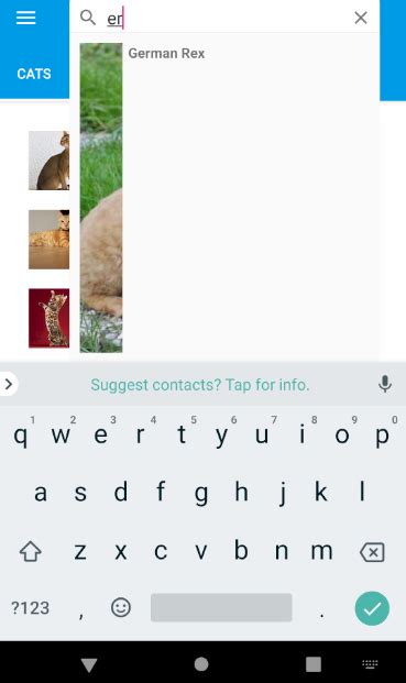 Bug Page Does Not Display Correctly When Searching In Shell