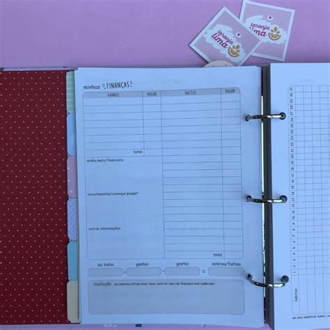 Caderno Fichário PLANNER Borboletas Fina Ideia