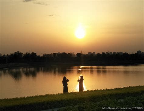 Matlab图像二值化把二值图像转换为01方格 Csdn博客