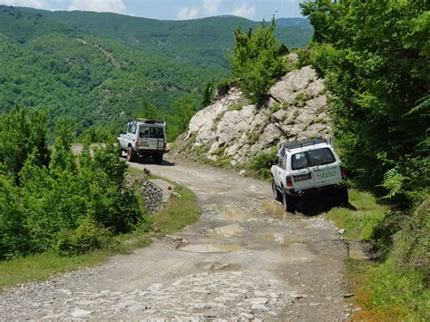 אלבניה גיפ תור