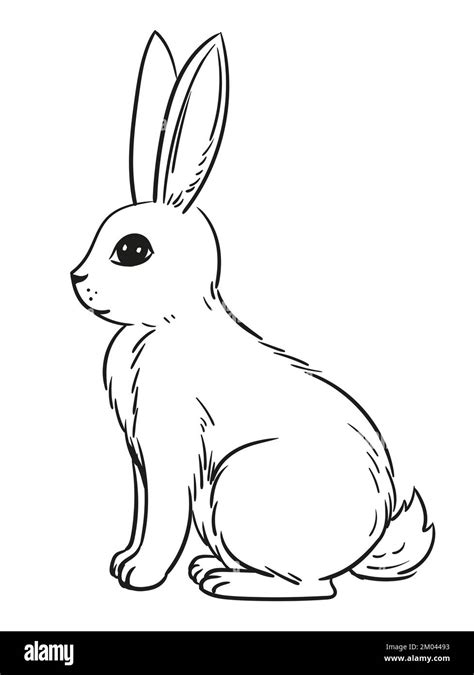 Divers Lapins Mignons Le Printemps Lapin De Pâques Dans Le Style
