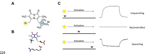 PDF The Trajectory Of Discrete Gating Charges In A Voltage Gated