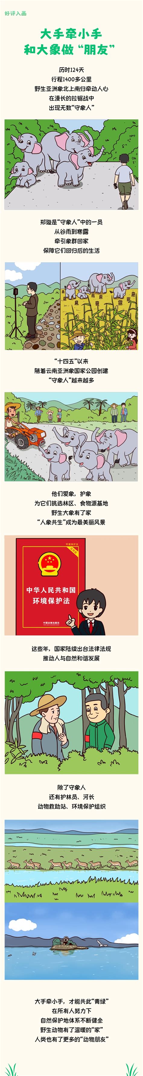 好评中国：大手牵小手，和大象做朋友四川在线